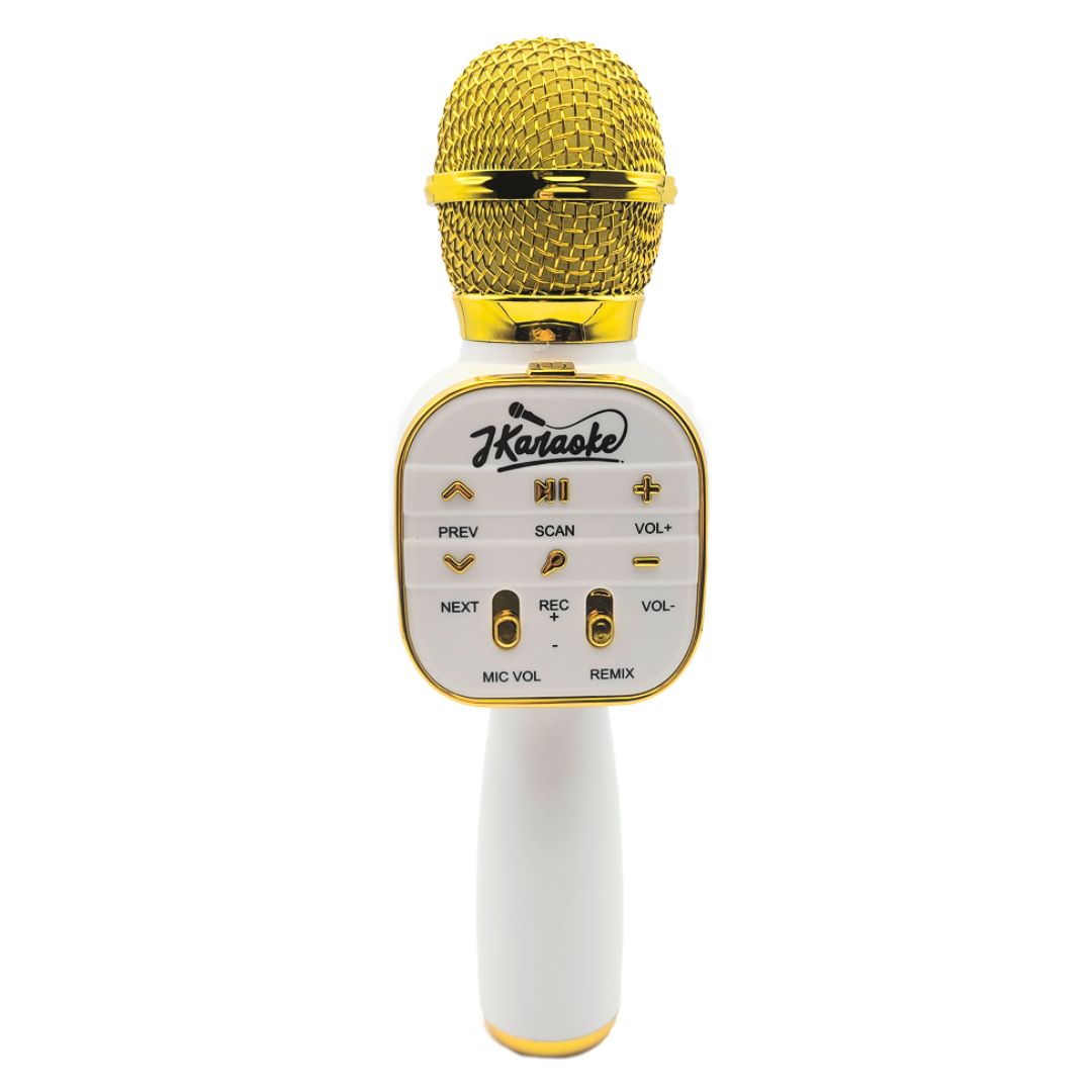 Bluetooth Wireless Mic with Speaker + Yearly Subscription | Jewish Fun ...